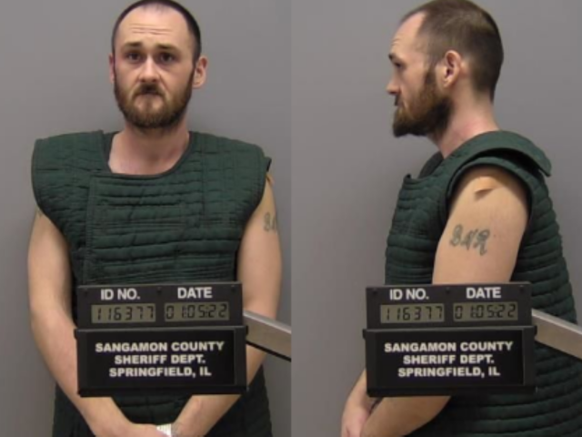 Benjamin Reed pleads insanity for murder of DCFS worker - Capitol City Now