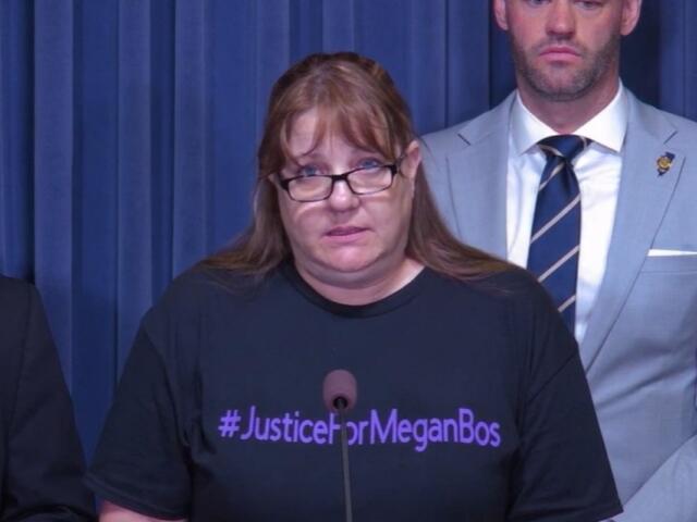 Republicans discuss bills to help reform SAFE-T Act - Capitol City Now