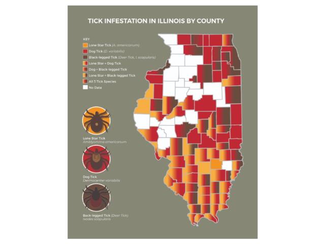 Tracking the ticks - Capitol City Now